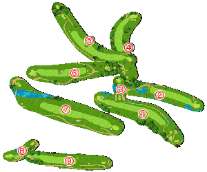 Graeagle Meadows Golf Course()のゴルフ場コースガイド - Shot Naviゴルフ場ガイド