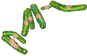 Miry Run Country Club()のゴルフ場コースガイド - Shot Naviゴルフ場ガイド