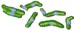 Olde Sycamore Golf Plantation()のゴルフ場コースガイド - Shot Naviゴルフ場ガイド