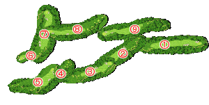 Brasada Ranch Resort()のゴルフ場コースガイド - Shot Naviゴルフ場ガイド