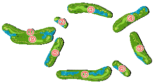 Oakwood Golf Club()のゴルフ場コースガイド - Shot Naviゴルフ場ガイド