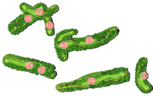 Stone Ridge Golf Course()のゴルフ場コースガイド - Shot Naviゴルフ場ガイド