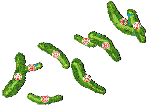 Rayburn Country Club()のゴルフ場コースガイド - Shot Naviゴルフ場ガイド