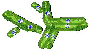 Ridgeview Ranch Golf Club()のゴルフ場コースガイド - Shot Naviゴルフ場ガイド