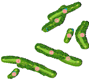 Tanglewood Shores Golf & Country Club()のゴルフ場コースガイド - Shot Naviゴルフ場ガイド