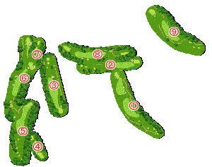 Bulls Bridge Golf Club()のゴルフ場コースガイド - Shot Naviゴルフ場ガイド