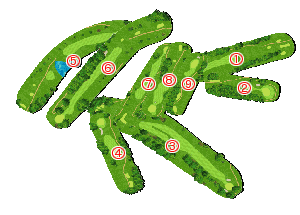 Harrisville Golf Course()のゴルフ場コースガイド - Shot Naviゴルフ場ガイド