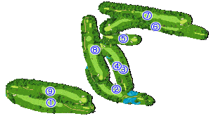 Ridgefield Golf Course()のゴルフ場コースガイド - Shot Naviゴルフ場ガイド