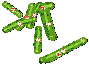 Madison Golf Course()のゴルフ場コースガイド - Shot Naviゴルフ場ガイド