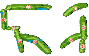 Rob Roy Golf Club()のゴルフ場コースガイド - Shot Naviゴルフ場ガイド