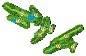 Sycamore Creek Golf Club()のゴルフ場コースガイド - Shot Naviゴルフ場ガイド