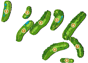 Gypsum Creek Golf Club()のゴルフ場コースガイド - Shot Naviゴルフ場ガイド