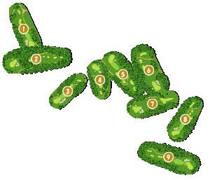 Magnolia Grove Golf Club Short Course()のゴルフ場コースガイド - Shot Naviゴルフ場ガイド