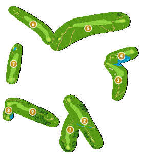 Hillside Golf Club()のゴルフ場コースガイド - Shot Naviゴルフ場ガイド