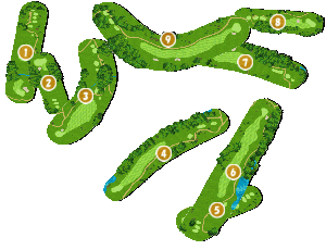 Pacific Springs Golf Club()のゴルフ場コースガイド - Shot Naviゴルフ場ガイド