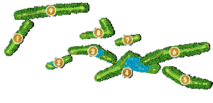 Diamondhead Golf & Country Club()のゴルフ場コースガイド - Shot Naviゴルフ場ガイド