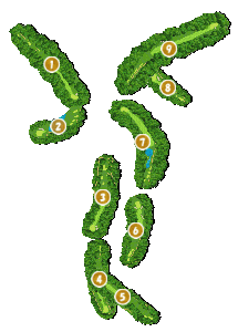 Tannenbaum Golf Club - Drasco()のゴルフ場コースガイド - Shot Naviゴルフ場ガイド