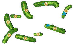 Ponta Creek Golf Club()のゴルフ場コースガイド - Shot Naviゴルフ場ガイド