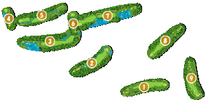 Timberton Golf Club()のゴルフ場コースガイド - Shot Naviゴルフ場ガイド