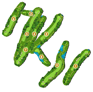 Baton Rouge Country Club()のゴルフ場コースガイド - Shot Naviゴルフ場ガイド