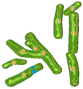 Indian Springs Ranch Golf Course()のゴルフ場コースガイド - Shot Naviゴルフ場ガイド