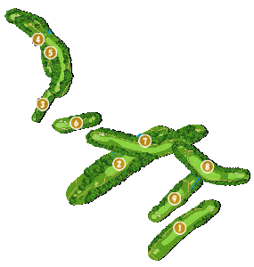 Killington Golf Resort()のゴルフ場コースガイド - Shot Naviゴルフ場ガイド