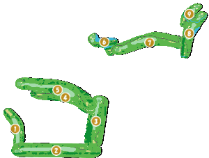 The Club at SpurWing()のゴルフ場コースガイド - Shot Naviゴルフ場ガイド