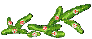 Alotian Golf Club(海外)のゴルフ場コースガイド - Shot Naviゴルフ場ガイド