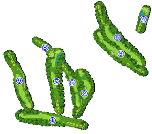 Chenal Country Club(海外)のゴルフ場コースガイド - Shot Naviゴルフ場ガイド