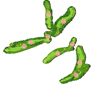 Bully Pulpit Golf Course(海外)のゴルフ場コースガイド - Shot Naviゴルフ場ガイド